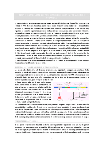 TEMA-2-COMPLETO.pdf