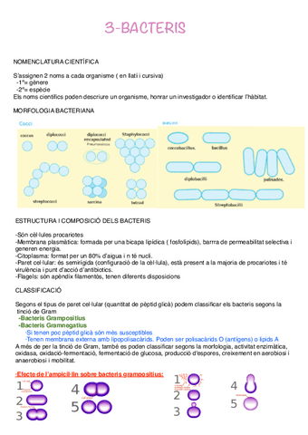 Apunts-tema-3-4-5-6.pdf
