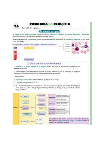 Bloque-II.pdf