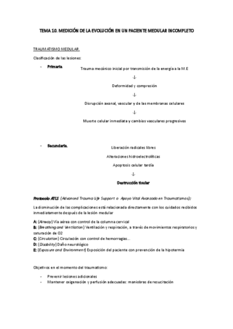 TEMA-10-MEIF-III.pdf