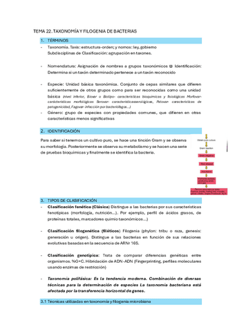 TEMA-22-MICRO.pdf