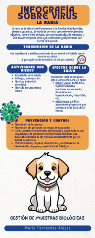 Infografia-sobre-virus.pdf
