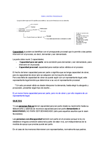 Tema-3-procesal.pdf