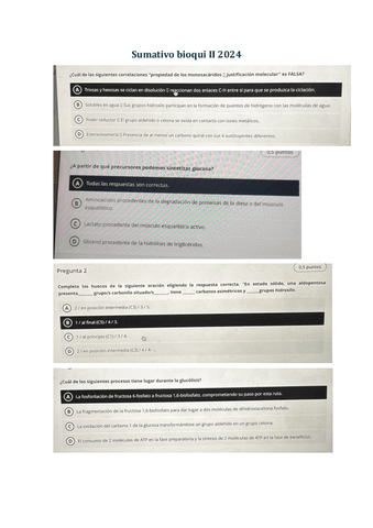 Sumativo-bioqui-II-2024.pdf
