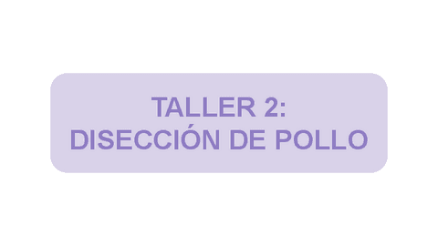 Anatomía-Taller 2-Diseccion de pollo.pdf