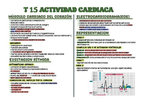 esquema-T15.pdf