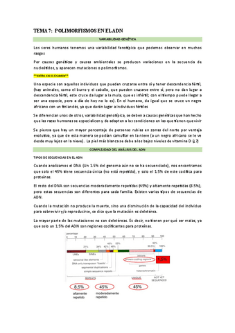 TEMA-7-POLIMORFISMOS-EN-EL-ADN.pdf