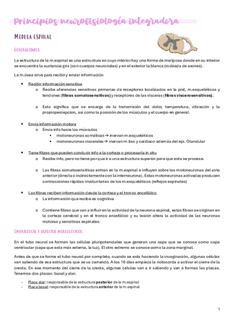 tema-5.-principios-neurofisiologia-integradora.pdf