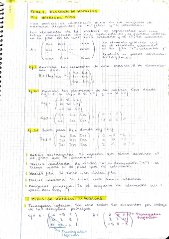 ALGEBRA-DE-MATRICES.pdf