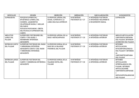 TABLA-TEMA-13-DORSALES-PROFUNDOS.pdf