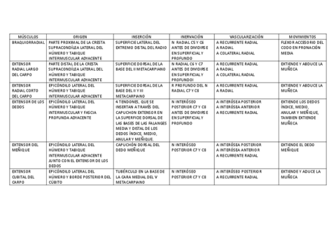 TABLA-TEMA-13-DORSALES-SUPERFICIALES.pdf