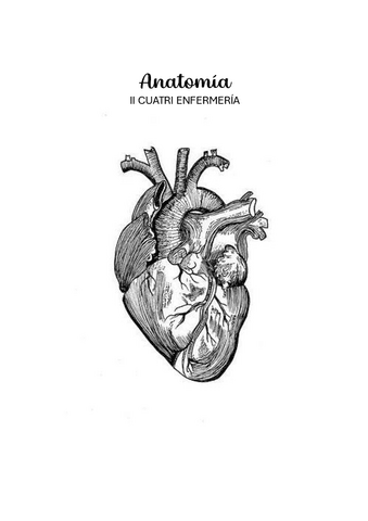 EYFDCH-II-SISTEMA-CARDIOVASCULAR-Julia-Romo.pdf