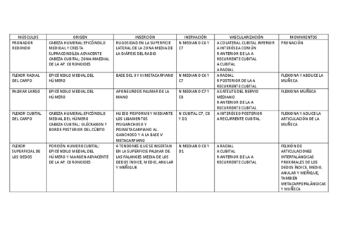 TABLA-TEMA-14-VENTRALES-SUPERFICIALES.pdf