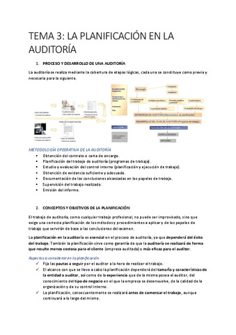 TEMA-3-AUDIT-CONT.pdf