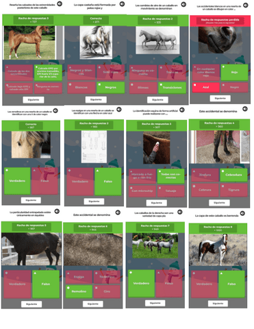 Kahoot-capas-equido.pdf