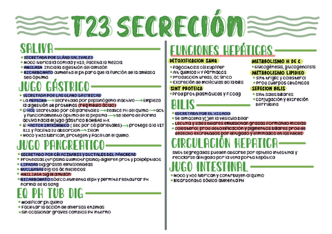 esquema-T23.pdf