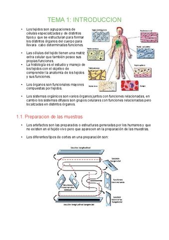 Tema-1-introduccion-tisular.pdf