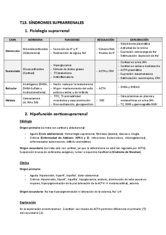 T13.-Suprarrenales.pdf