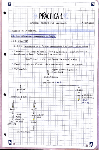 LIBRETA-QUALITATIVAmerged.pdf