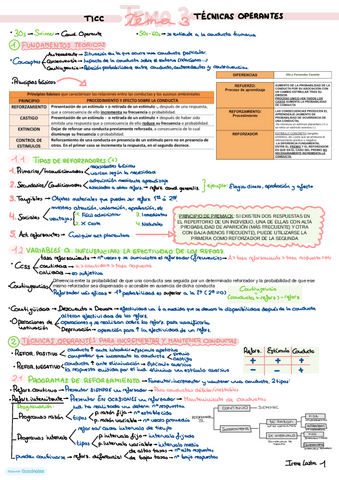 Tema-3-TICC-ESQUEMA.pdf