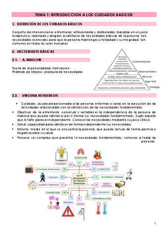 CUIDADOS-tema-1.pdf