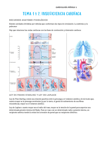 TEMA-1-y-2-IC.pdf