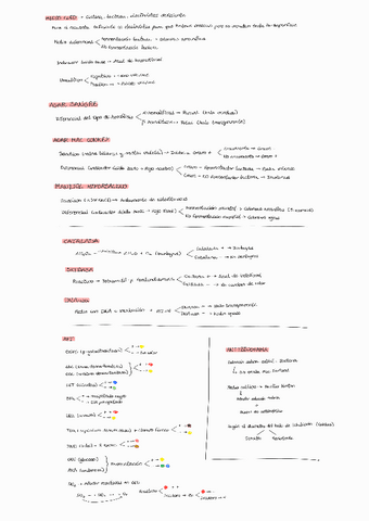 Practicas-micro-mpc-esquema-resumen.pdf