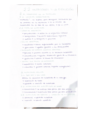 MUTACIONES-Y-EVOLUCION-B2-T2.pdf