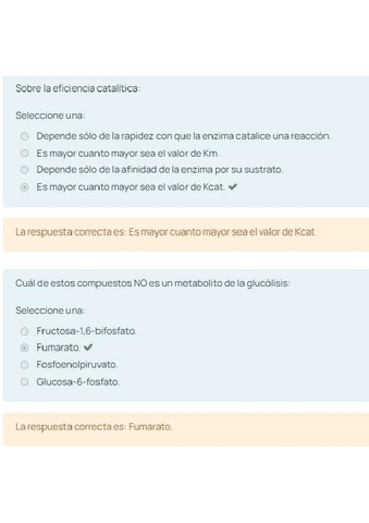 CONTROL-TEMA-6-Y-7-BIOQUIMICA.pdf