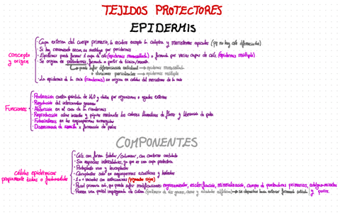 Esquema-T5.pdf