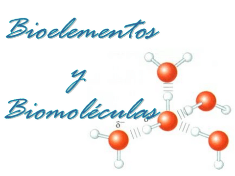 1.-Bioelementos.pdf