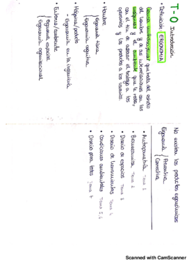 Resumen Ergo teoría.pdf