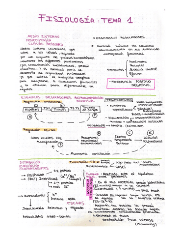 esquema-T1-fisio-II.pdf
