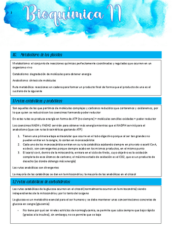 primer-parcial-bioqui-II.pdf