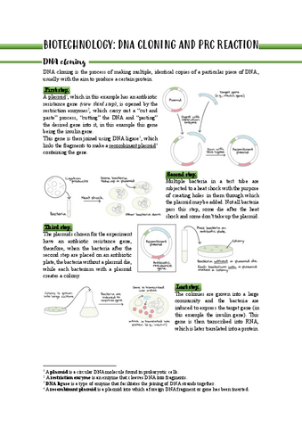 Biotechnology-DNA-cloning-and-PCR-technique-4o-ESO-Bilingue.pdf