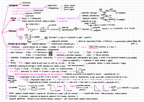 Resumen-Tema-1-IBIO.pdf