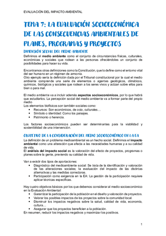 TEMA-7-EIA.pdf