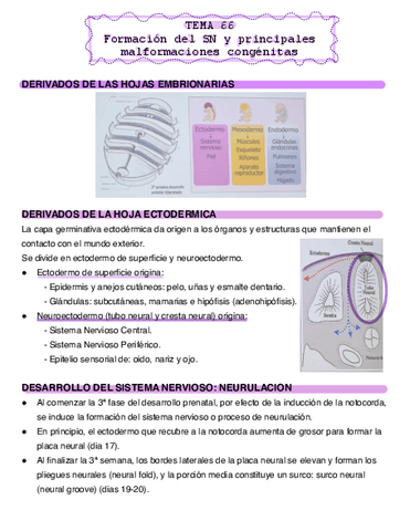 TEMA-66.-Formacion-del-SN-y-principales-malformaciones-congenitas.pdf