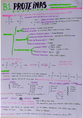 LAS-PROTEINAS-Y-ENZIMAS-ESQUEMA-Y-RESUMEN.pdf