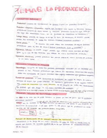 resumen--practica-tema-6.pdf