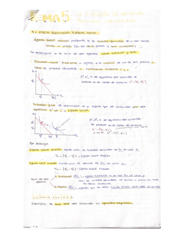 Resumen--practicas-tema-5.pdf