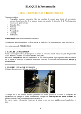 tema-1-Introduccion.pdf