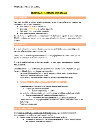 practicas-segundo-cuatri.pdf
