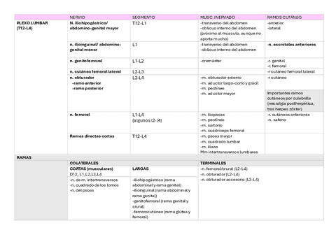 plexo-lumbo-sacro-coccigeo.pdf