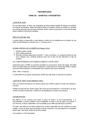 RESUMEN-TEMA-2B.pdf