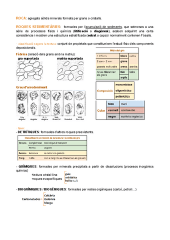 Practica-roques-sedimentaries.pdf