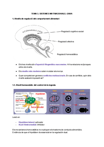 MOTEMO-TEMA-3-I.-GANA.pdf