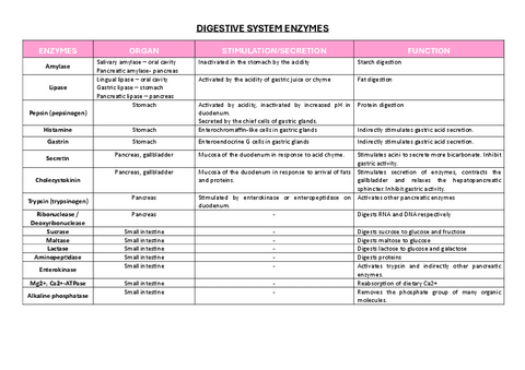DIGESTIVE-SYSTEM-ENZYMES-table.pdf