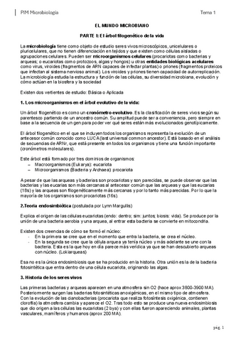 Tema-1-PIM-MICRO.pdf