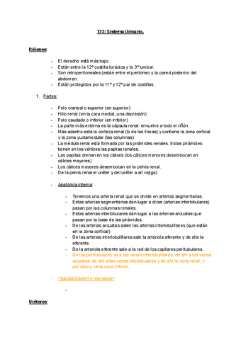 Anatomia-T23.pdf